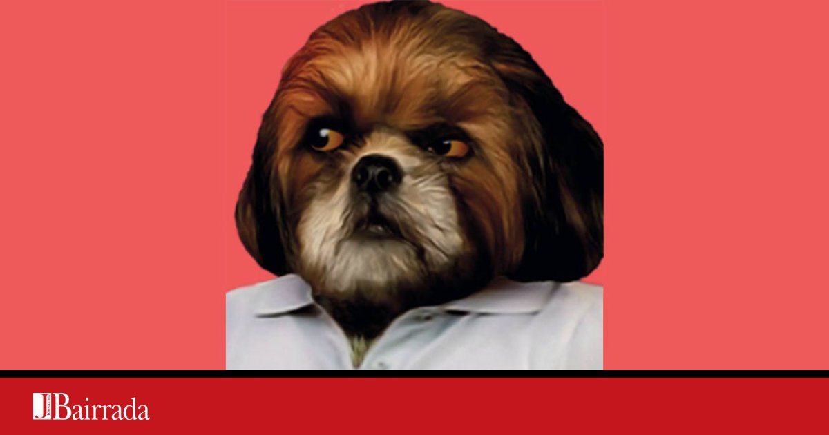 Anadia recebe antestreia nacional: “O Filme do Bruno Aleixo” - Jornal ...