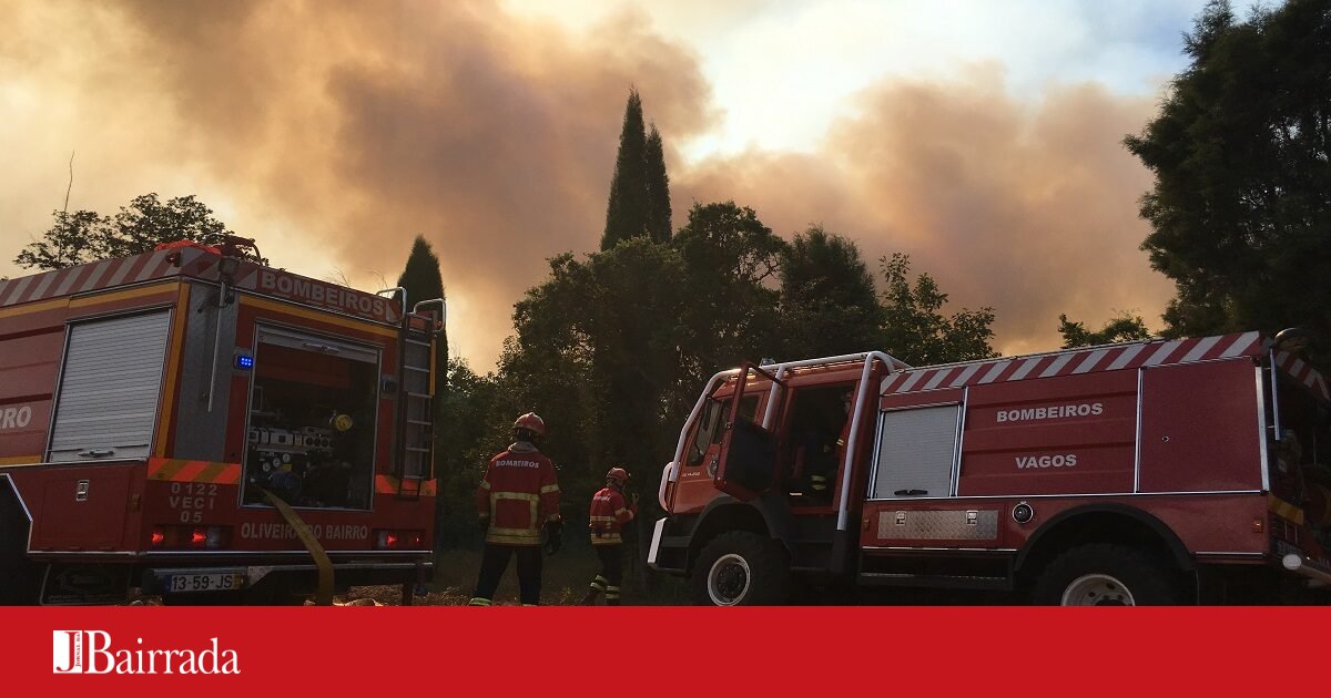 Incêndios: Risco elevado em Aveiro e muito elevado em Coimbra - Jornal ...