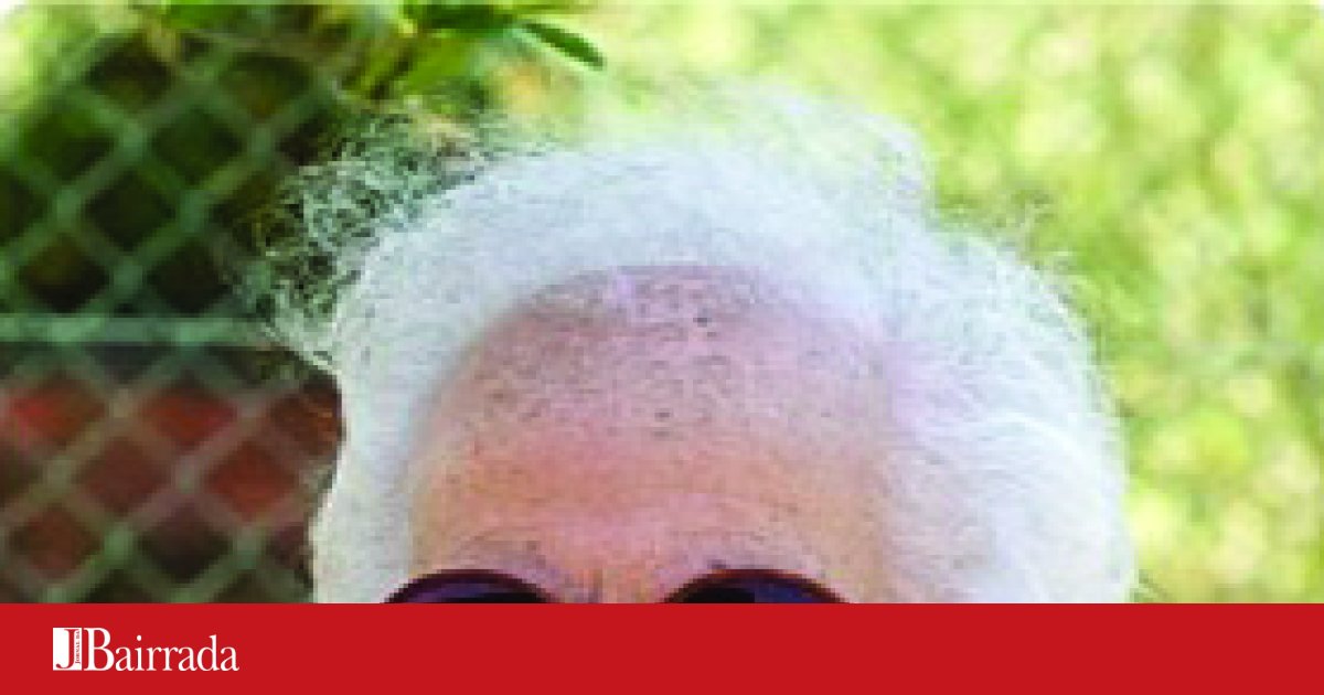 D. Maria Zaira de Bastos Martins – Jornal da Bairrada