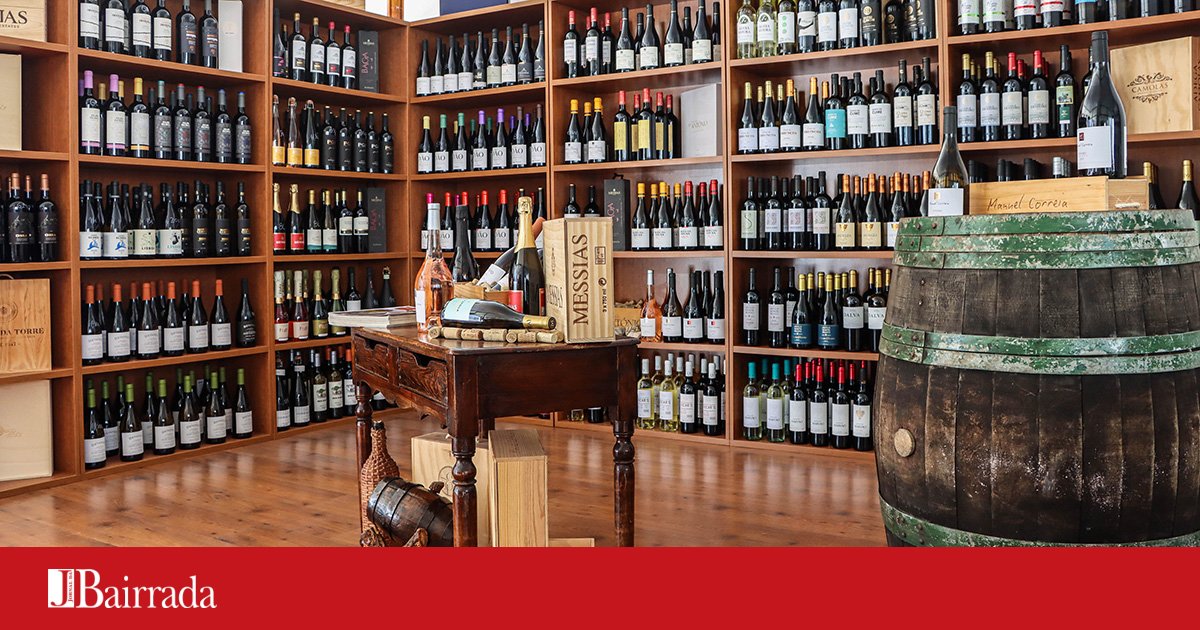 Garrafeira “Grande Reserva”, na Mealhada, dá a conhecer vinhos de todo ...
