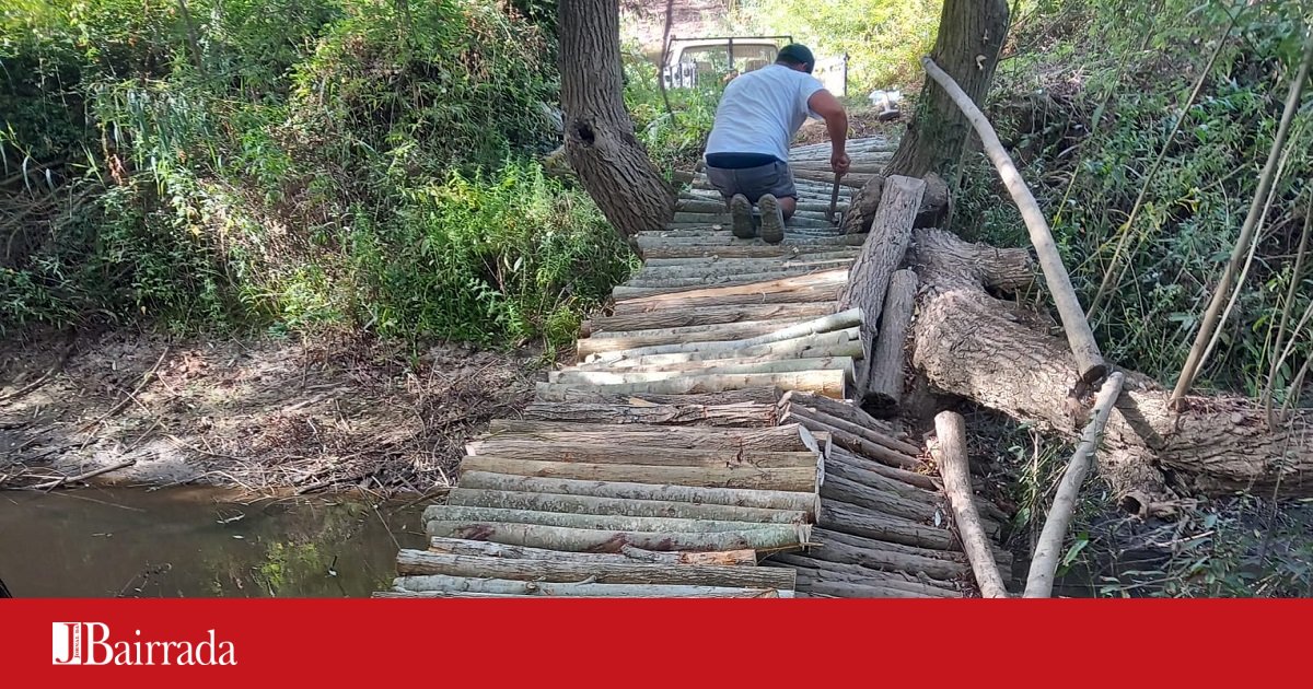 2.ª edição do Trail dos Arrozais promete surpresas para este ano ...
