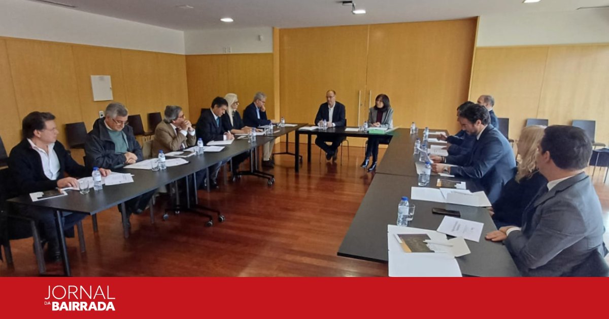 Anadia e Oliveira do Bairro apresentam ligação à A1 a deputados do PS ...