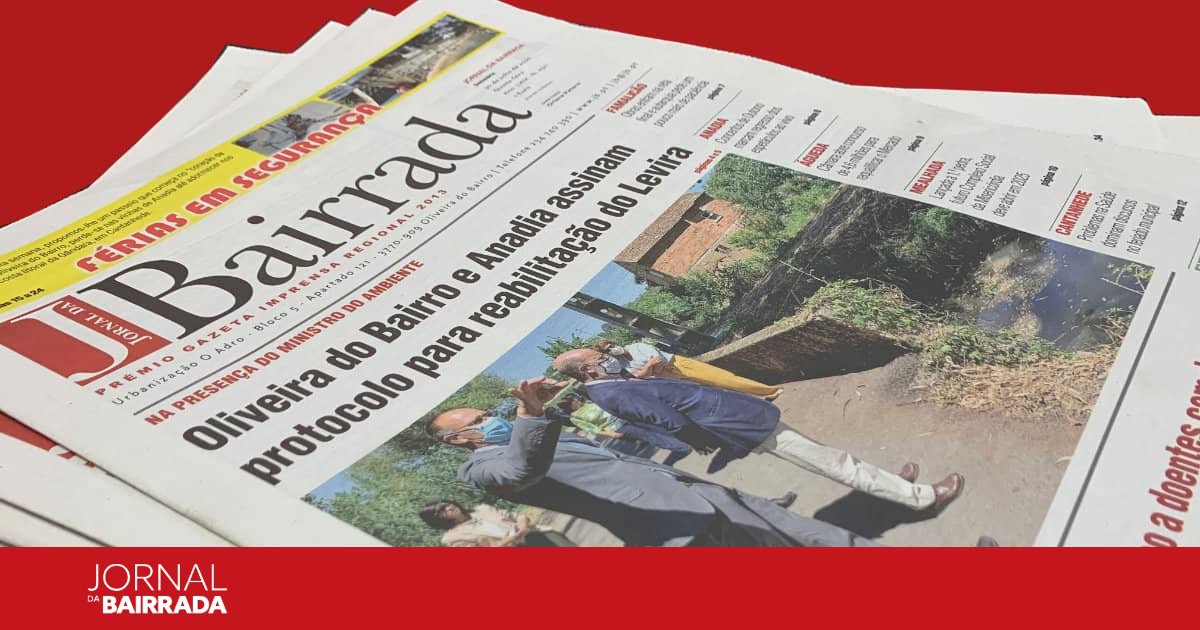 Ílhavo: Bivalves da Ria são mote para o “Tanto Mar!” de abril - Jornal ...