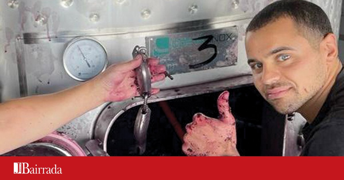 André Amado, da “Casa dos Amados”, a paixão entre a Bairrada e o Dão ...