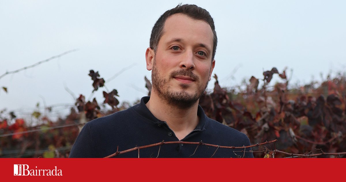 Apego à terra e gosto pela vida no campo vai muito além da enologia ...